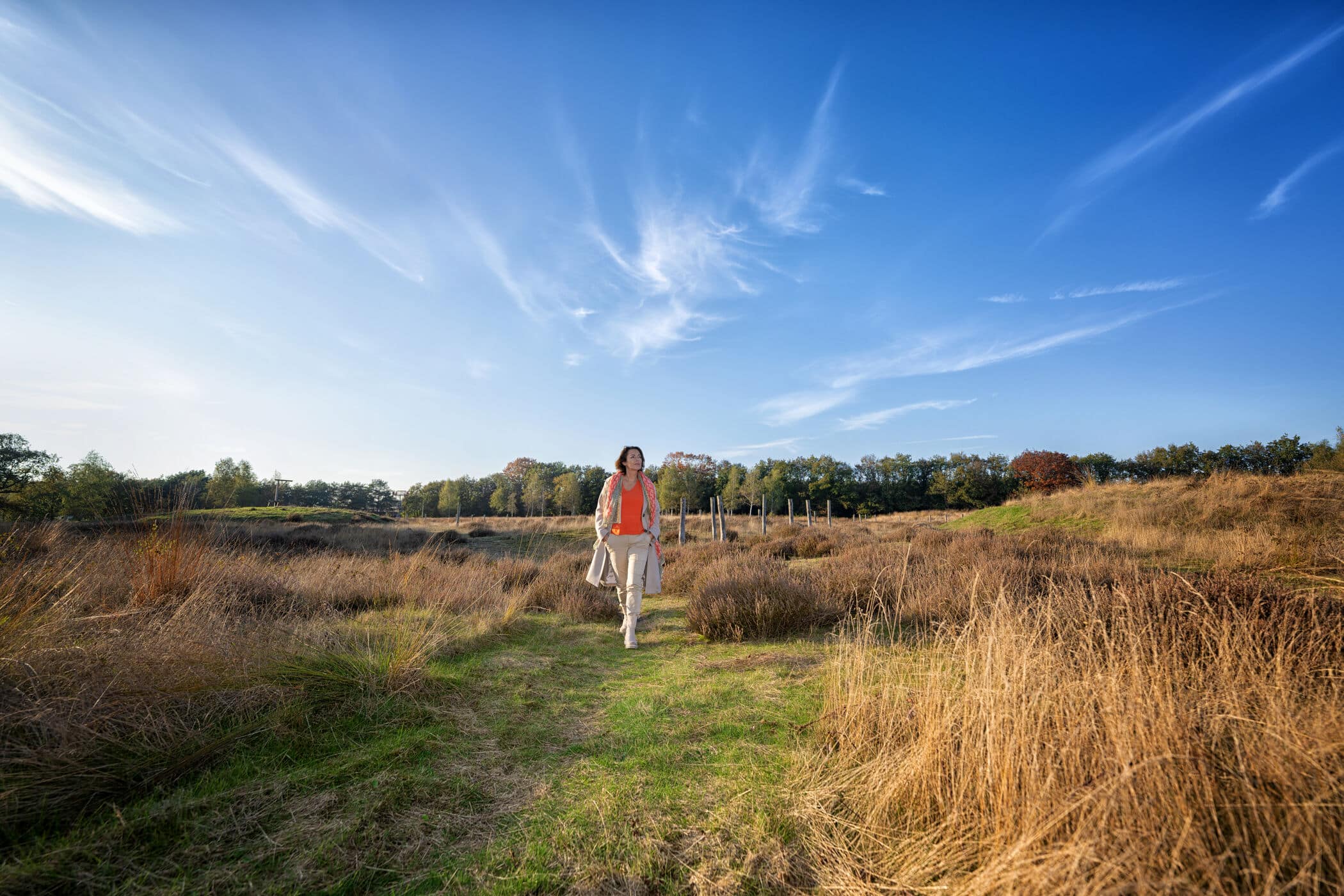Wandelstarter voor Brabant | Natuurgebied De Maashorst